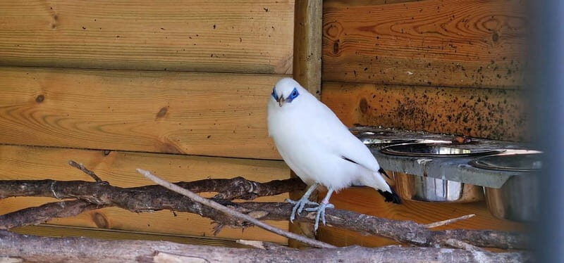 Bird Island sweet west tour - Final Thoughts: Who Will Love This Tour?