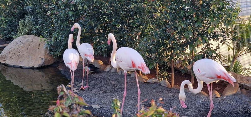 Bird Island sweet west tour - FAQs About the Bird Island Sweet West Tour