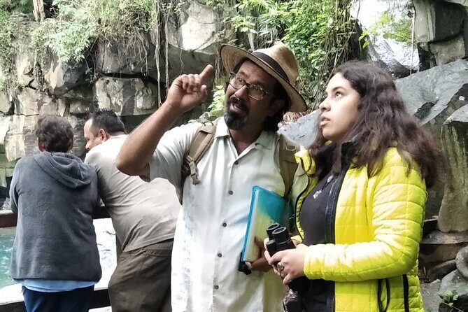 Bird Observation in the National Park of Uruapan. - Bird Observation in the National Park of Uruapan: An Insiders Guide