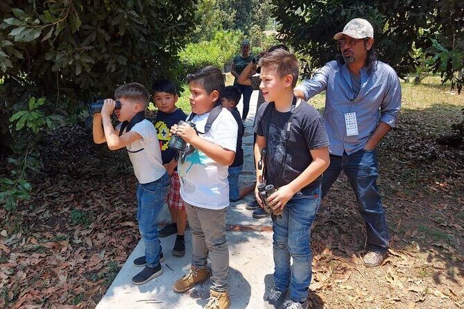 Bird Observation in the National Park of Uruapan. - The Authentic Experience