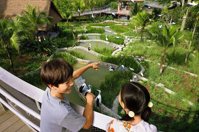 Bird Paradise Singapore Tickets - The Value of Your Ticket