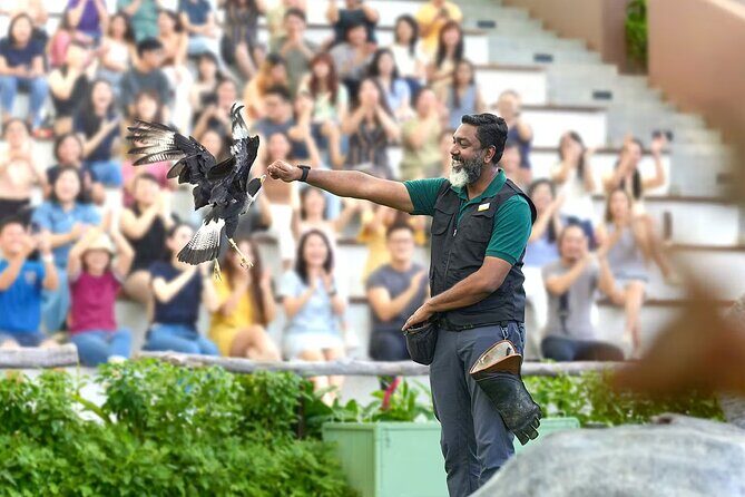 Bird Paradise Singapore Tickets - Authentic Insights from Visitors