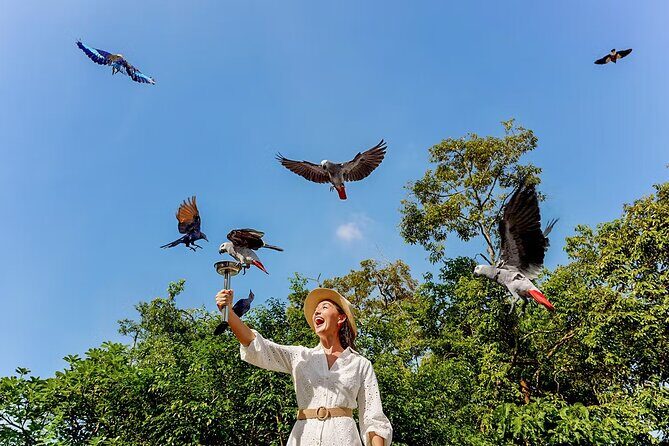 Bird Paradise Singapore Tickets - The Sum Up