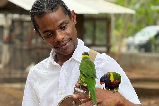 Bird Sanctuary and Montego Bay City Tour - Exploring the Bird Sanctuary and Montego Bay City Tour: A Practical Guide
