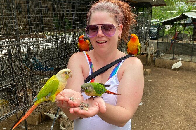 Bird Sanctuary and Montego Bay City Tour - Final Thoughts: Is It Worth It?