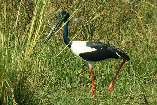 Bird Sanctuary, Bharatpur & Taj Mahal, Agra Day Tour from Delhi - Who Will Get the Most Out of This Tour?