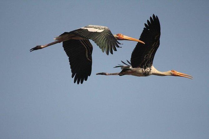 Bird Sanctuary, Bharatpur & Taj Mahal, Agra Day Tour from Delhi - The Sum Up