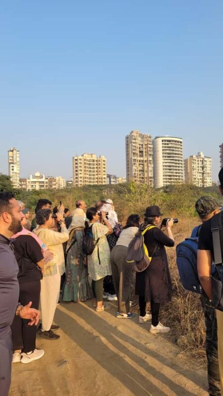 Bird Walk at Navi Mumbai - The Sum Up: Who Should Consider This Tour?