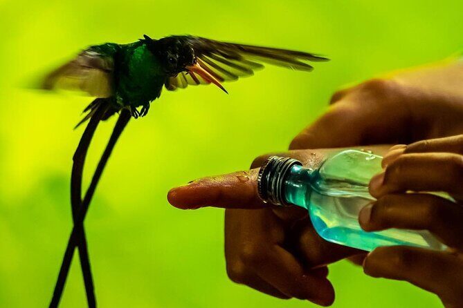 Bird Watcher's Paradise at Rockland Bird Sanctuary - Key Points