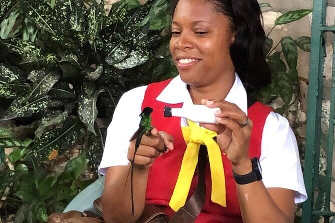 Bird Watcher's Paradise at Rockland Bird Sanctuary - An Authentic Bird-Watching Experience