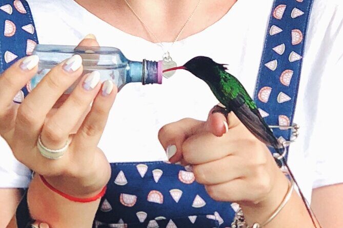 Bird Watcher's Paradise at Rockland Bird Sanctuary - What to Keep in Mind