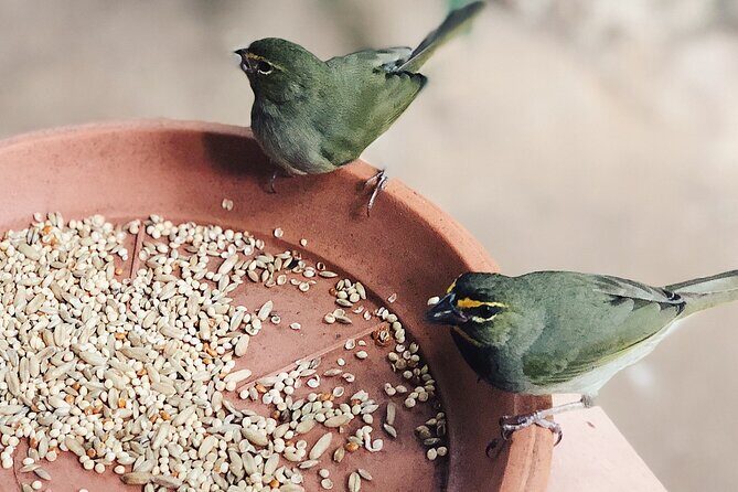 Bird Watcher's Paradise at Rockland Bird Sanctuary - Final thoughts