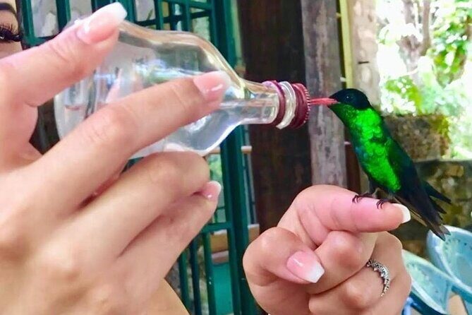 Bird Watcher's Paradise at Rockland Bird Sanctuary - Frequently Asked Questions