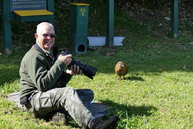 Bird Watching and Dolphin Eco-Tour from Picton - Introduction to the Tour