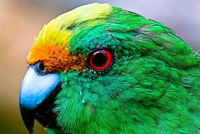 Bird Watching and Dolphin Eco-Tour from Picton - The Itinerary: What to Expect