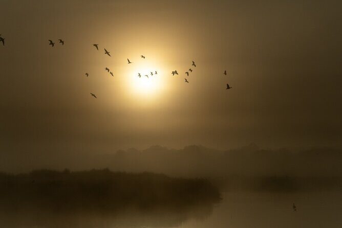 Bird watching and photography around Bathurst, Australia - The Scenic Locations and Their Charm