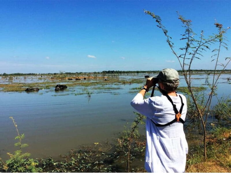 Bird Watching at Tonle Sap Forest and Lotus Farm Siem Reap - Introduction: A Must-Do for Nature and Bird Lovers in Siem Reap