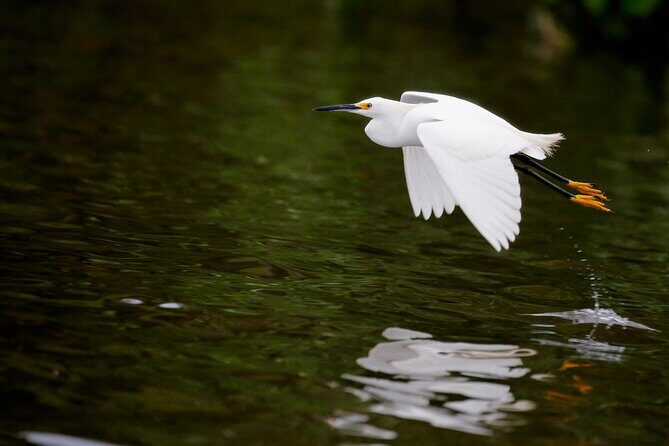Bird watching in Danube Delta - Private day tour from Bucharest - Who Would Love This Tour?