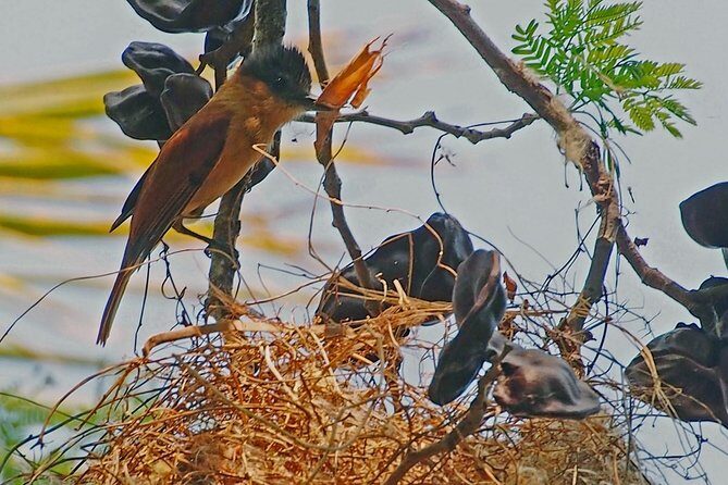 Bird watching in La Mancha - The Sum Up: Is This the Birding Tour for You?
