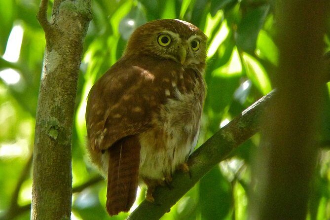 Bird Watching in Sian Ka´an Muyil - Final Thoughts