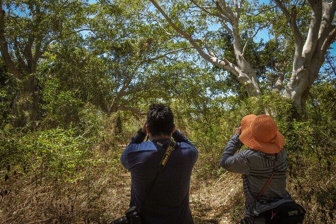 Bird Watching Mazatlán - Birding Tour - Who Should Consider This Tour?