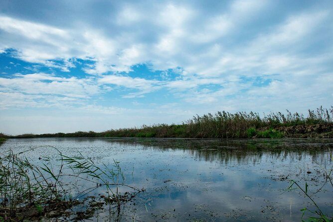 Bird Watching Tour at Nanji Hill Poyang Lake Nature Reserve From Nanchang - The Day’s Itinerary: What to Expect