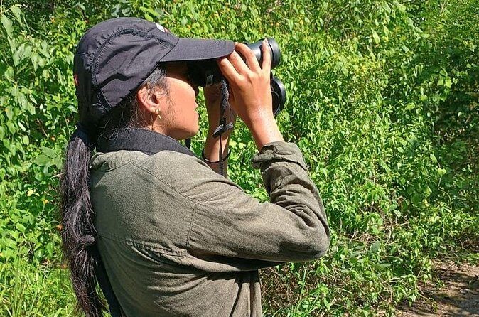 Bird Watching Tour in Cozumel - Real Traveller Insights and Expectations