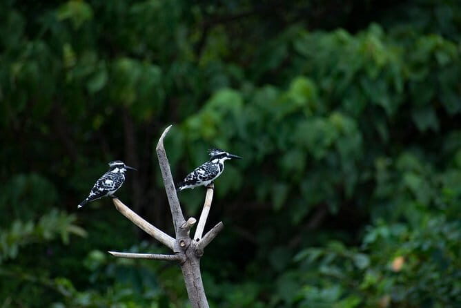 Bird Watching Tour Sri Lanka - 10 Days - FAQ