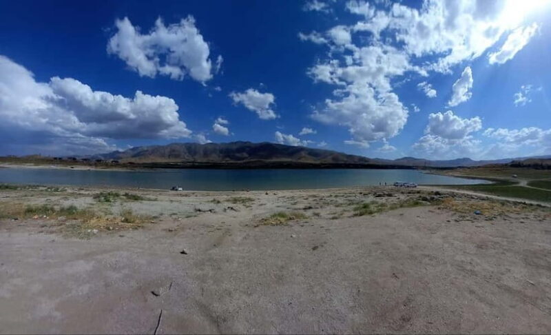 Bird Watching Tours in Samarkand - An In-Depth Look at the Tour Experience