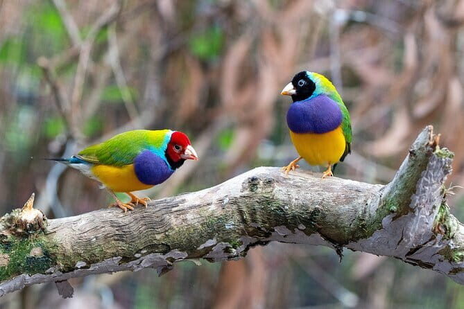 Bird Watching with Cannoning Tour in Chitwan National Park - Who Will Enjoy This Tour?