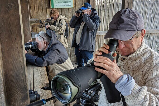 Birding Costa del Sol Day tour - Punta de Calaburras: Coastal Birds and Marine Life