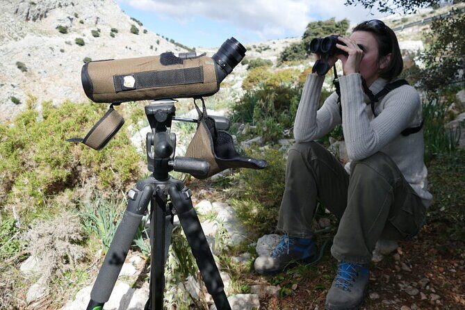 Birding Costa del Sol Day tour - Malaga and Rio Grande: Riparian Forests and Urban Birds