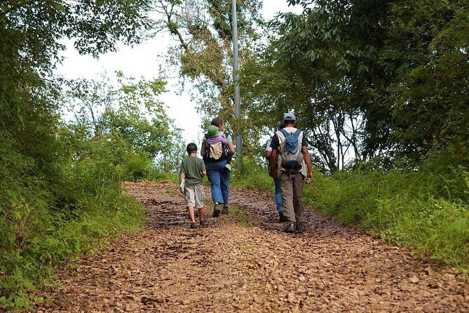 Birding Hike: Day Birdwatching in Kathmandu - Key Points
