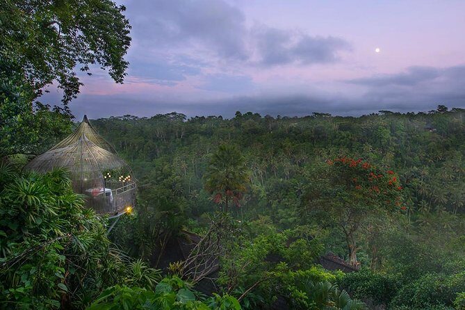 Birds Nest Romantic Dining in Ubud - Key Points