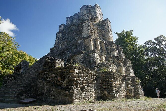 Birds of the Mayan World 3 - A Deep Dive into the Experience: What to Expect on the Tour