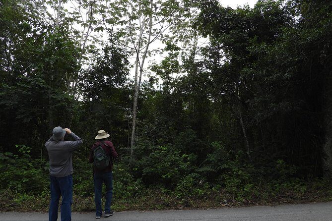 Birds of the Mayan World 3 - Final Thoughts: Who Will Love This Tour?