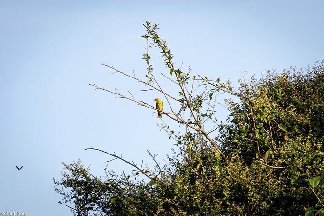 Birdwatching and Nature Walk of South Goa - FAQs
