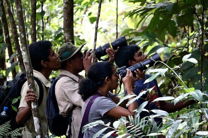 Birdwatching from Sinharaja Rainforest - Pricing and Value: Is It Worth It?