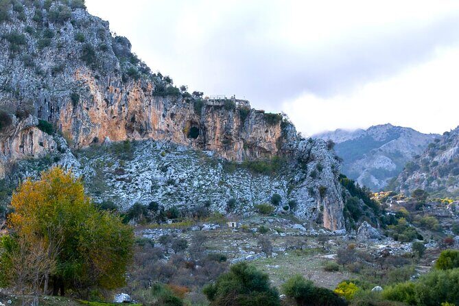Birdwatching in Ronda and Grazalema - Exploring the Itinerary: What You’ll Experience