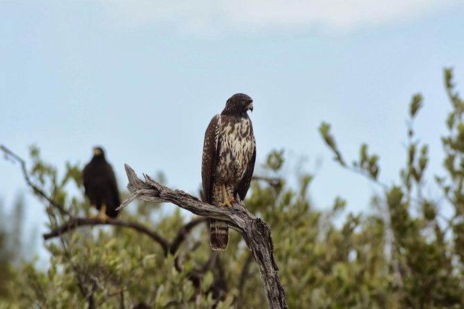 Birdwatching Sian Ka'an Biosphere Reserve - The Itinerary: What You’ll Actually Do