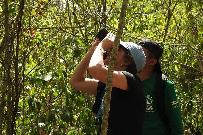 Birdwatching Sian Ka'an Biosphere Reserve - The Sum Up