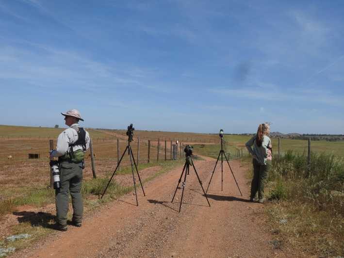 Birdwatching tour in Mértola and Castro Verde region - Final Thoughts