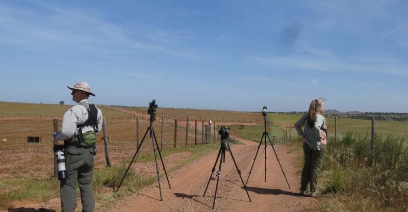 Birdwatching tour in Mértola and Castro Verde region - FAQ – Your Birdwatching Questions Answered
