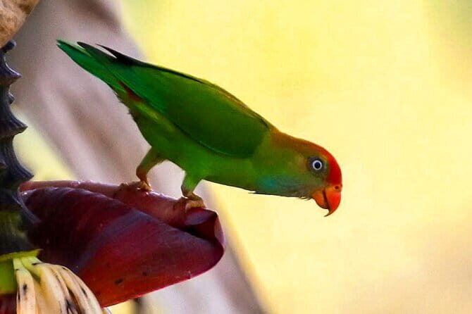 Birdwatching Trek in Anawilundawa Sanctuary from Kalpitiya - Exploring Anawilundawa Sanctuary: A Nature Lover’s Paradise