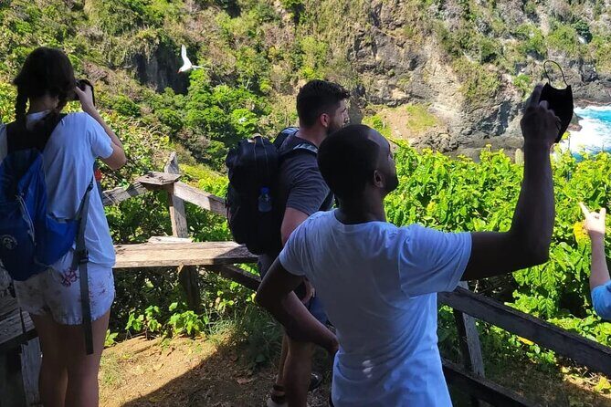 Birdwatching, Waterfall, Rainforest and Island Nature Tours - The Sum Up: Why You Should Consider This Tour