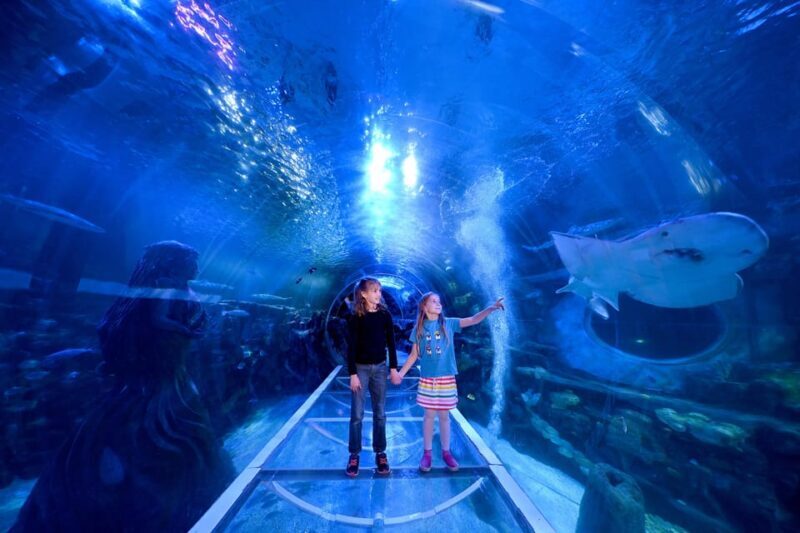 Birmingham: Cadbury World + SEA LIFE + LEGOLAND Discovery - What Makes This Tour Stand Out?