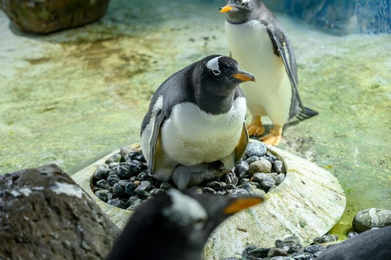 Birmingham: Cadbury World + SEA LIFE + LEGOLAND Discovery - Final Thoughts