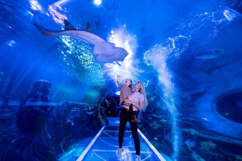 Birmingham: National Sea Life Centre Entrance Ticket - Why the National Sea Life Centre Birmingham Is Worth Visiting