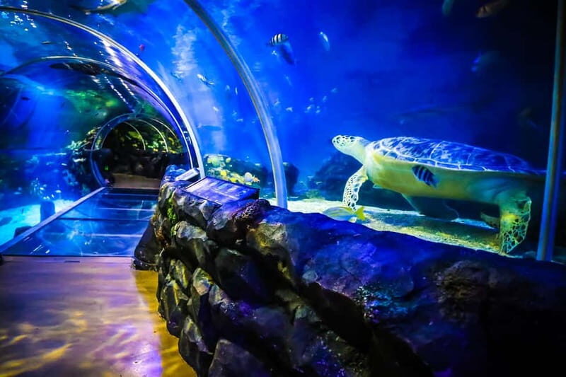Birmingham: National Sea Life Centre Entrance Ticket - Who Will Love This Experience?