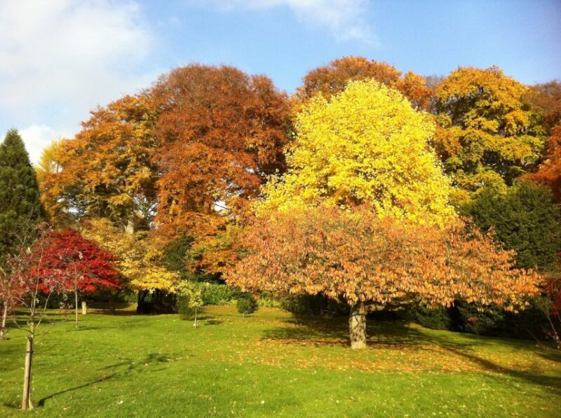 Birmingham: Winterbourne House and Garden Admission Ticket - Key Points